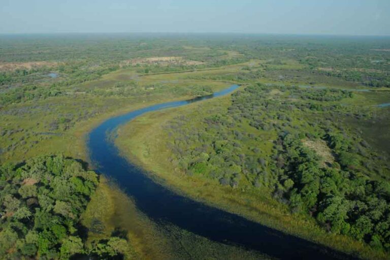 Okavango River - Facts | Delta | Basin | Map - Rhino Rest